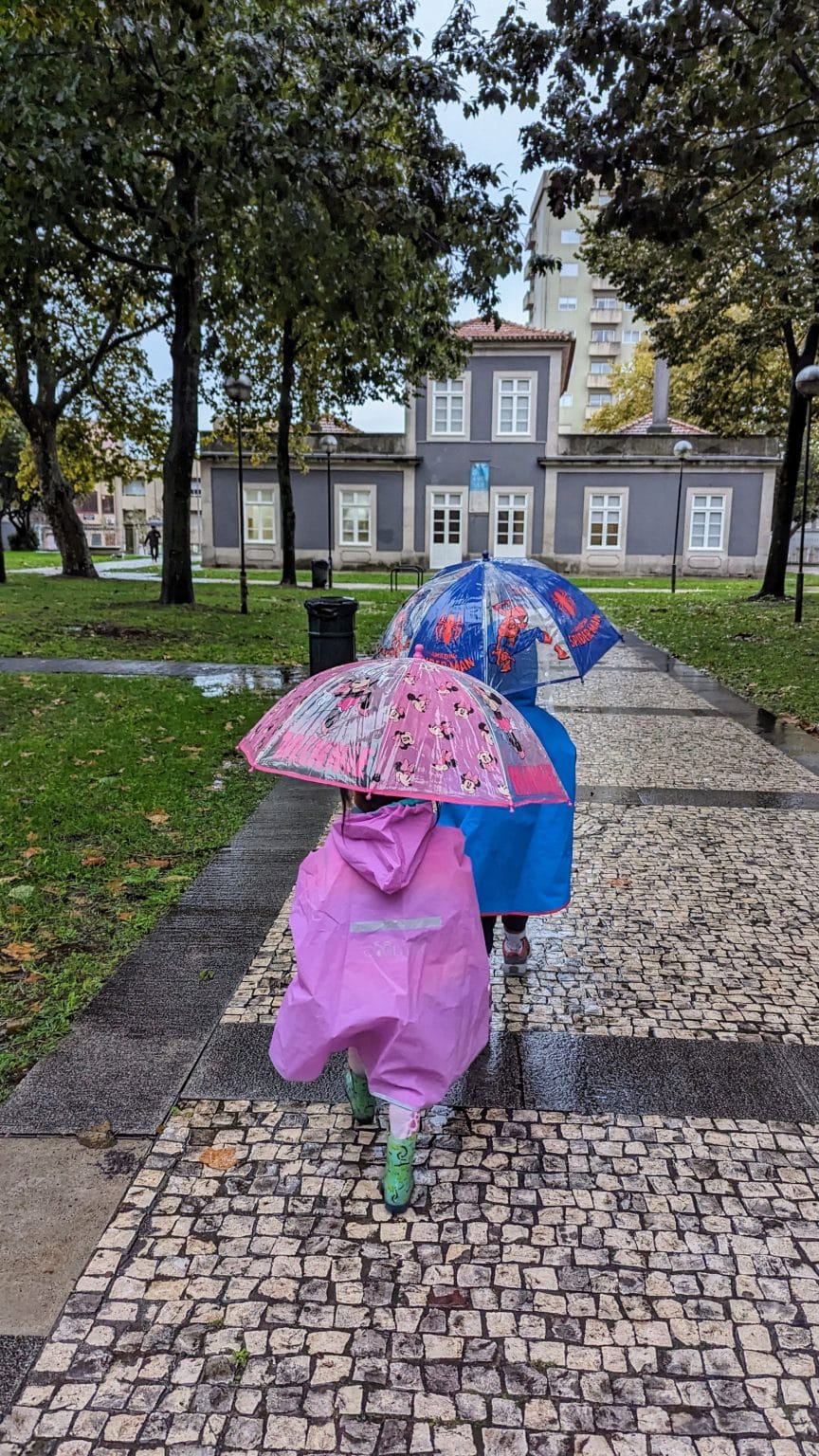 15 Best Things to Do in Porto in November (2026 Guide) - Pass to Portugal
